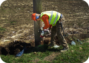 Services - GeoForce Utility Technologies